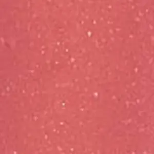 CHANTECAILLE Lip Chic - Pink