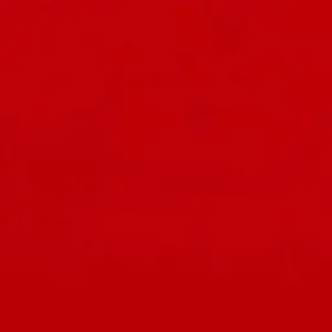 PAPOUELLI Patent Leather Angelica Mary Jane Shoes - Red