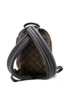 LOUIS VUITTON Palm Springs Monogram Canvas Pm Backpack - Brown