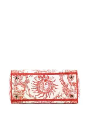 Dior Lady D-lite Embroidered Canvas Satchel - Red
