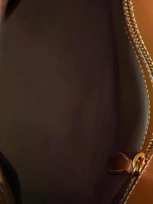 Miu Miu Aventure Canvas And Leather Bag