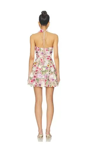 ELLIATT Neve Floral Embroidered A-line Mini Dress