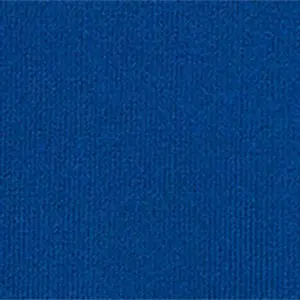 Loewe Sleeveless Rollneck Top - Blue