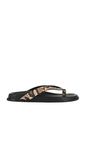 Paige Zadie Sandal