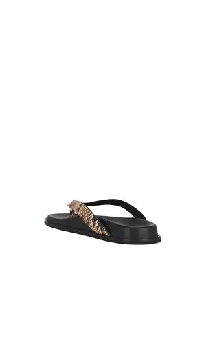 Paige Zadie Sandal