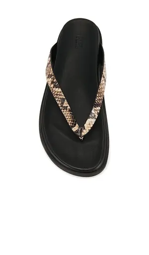 Paige Zadie Sandal