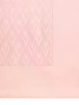 Valentino Garavani Logo-detail Scarf