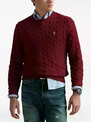 Polo Ralph Lauren Cable Knit Crew Neck Sweater