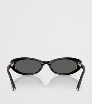 Tiffany & Co. Acetate Oval Sunglasses