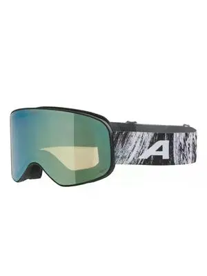 ALPINA Slope Q-lite Ski Goggles
