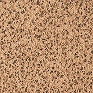Sisley Phyto-blanc Le Cushion Foundation Spf 50 - Beige