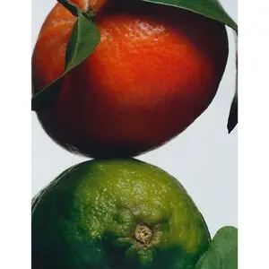 Jo Malone Lime Basil & Mandarin Cologne 30ml