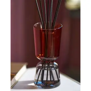 ESTEBAN Teck Et Tonka Bouquet Scented Diffuser Set