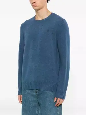 Polo Ralph Lauren Crew Neck Pullover With Logo