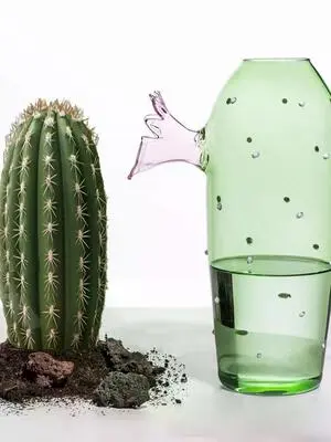 ICHENDORF MILANO Desert Plants Jar