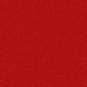 Loewe Sleeveless Rollneck Top - Red