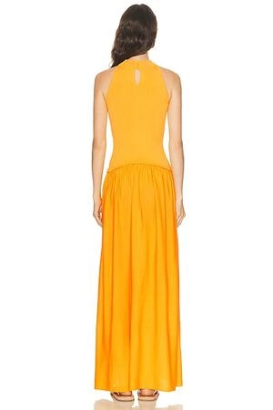 Solid & Striped The Isola Maxi Dress - Pineapple