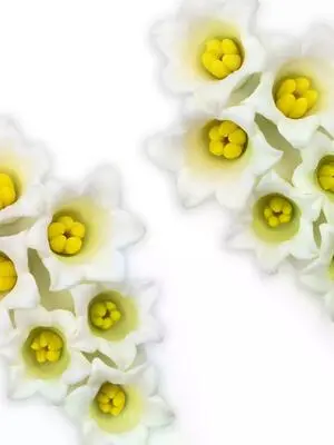 JENNIFER BEHR Val Floral-motif Earrings