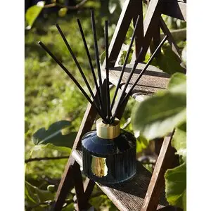 TRUDON Figuerie Reed Diffuser - One-color