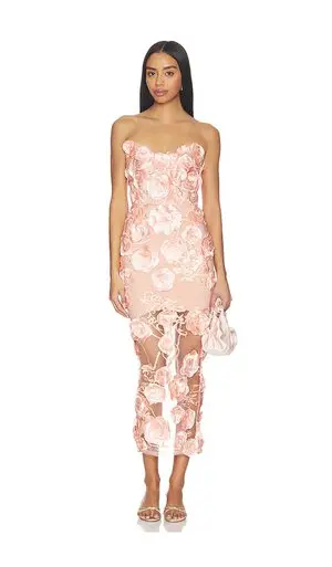 ZHIVAGO Floral Appliqué Midi Dress - Blush