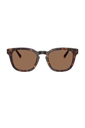 Polo Ralph Lauren Square Sunglasses - Brown