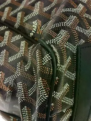 Goyard Printed Tote Bag