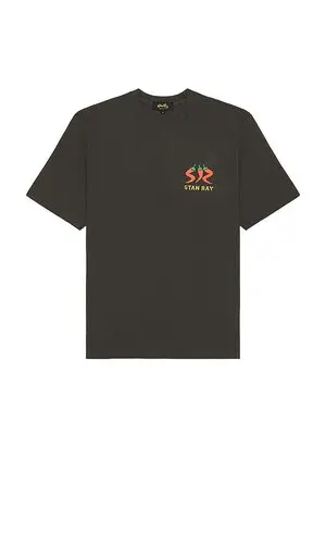 STAN RAY Pepper Tee In . Also - Black