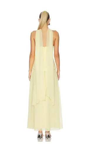 Line & Dot Strapless Maxi Dress With Optional Scarf