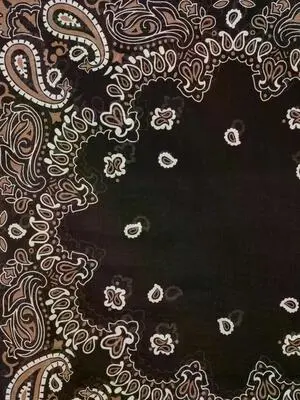 Destin Paisley Scarf