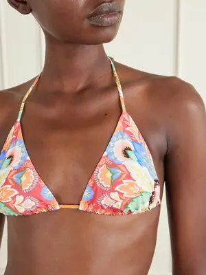 Etro Paisley-print Triangle Bikini - Multi