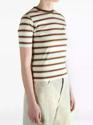 Auralee Gradient Striped T-shirt