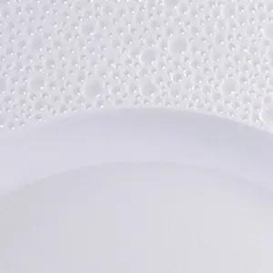 Bernardaud Ecume Service Plate
