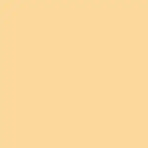 Anni Lu Gold-plated Necklace With Shell Pendant