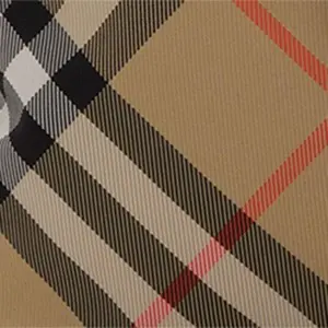 Burberry Check Print Backpack