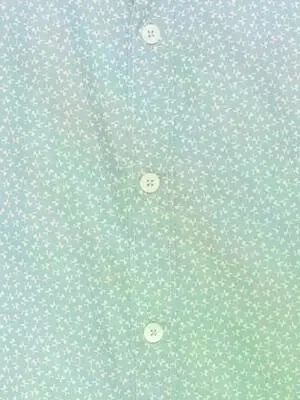 Canali Floral Shirt