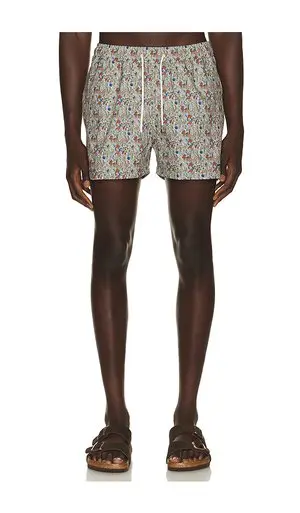 EDMMOND STUDIOS Wildlife Swim Shorts - Brown