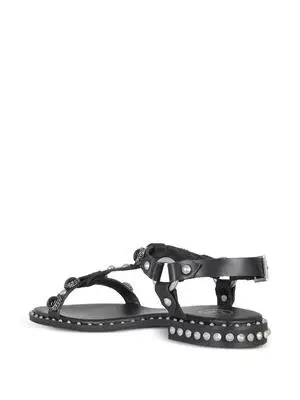 Ash Embellished Sandals For Women