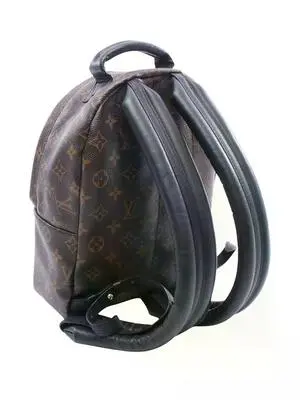 LOUIS VUITTON Monogram Palm Springs Pm Backpack - Brown