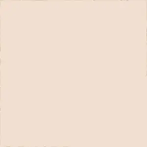 Etro Cotton Satin Kiri Cushion