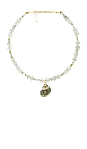 Brinker & Eliza Bellamy Necklace With Shell Pendant - Green