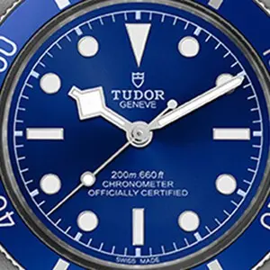 TUDOR Black Bay 54 Stainless Steel Watch