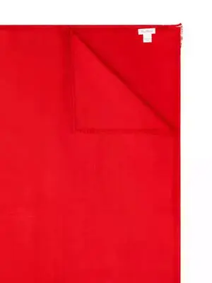 Max Mara Fringed Scarf - Red