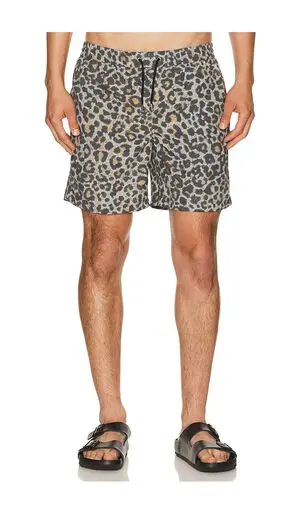 ALLSAINTS Silesia Swimshort - Grey