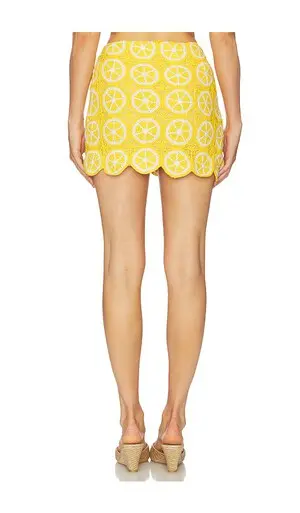 Show Me Your Mumu Solstice Mini Skirt