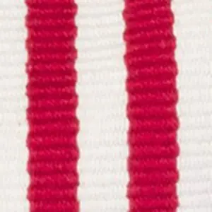 Miu Miu Cotton Stripe Pouch Bag
