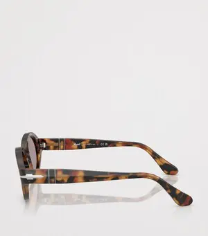 Persol Acetate Loris Oval Sunglasses