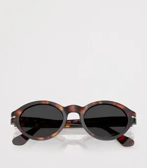 Persol Acetate Loris Round Frame Sunglasses