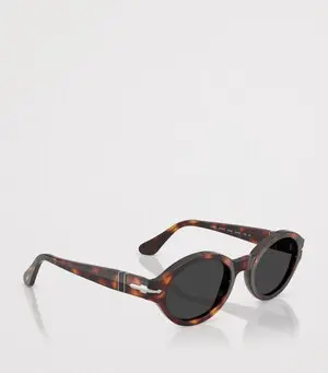 Persol Acetate Loris Round Frame Sunglasses