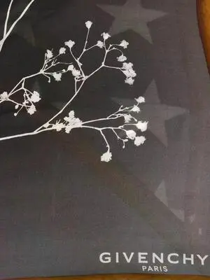 Givenchy Baby's Breath Printed Scarf