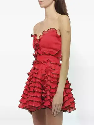 Alexander McQueen Ruffled Skater Dress